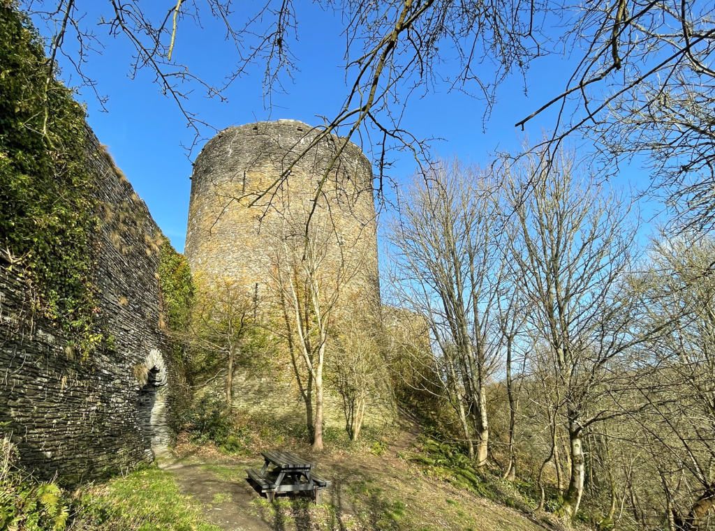 Cilgerran Castle and Walk | Maesyfelin Isaf - Dog Friendly, self ...
